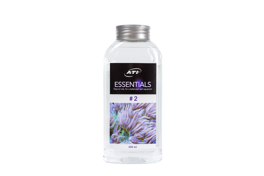 Ihr Korallen Onlineshop